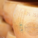 Discover Ferrari - Tasting Modena - Italy Food Travel