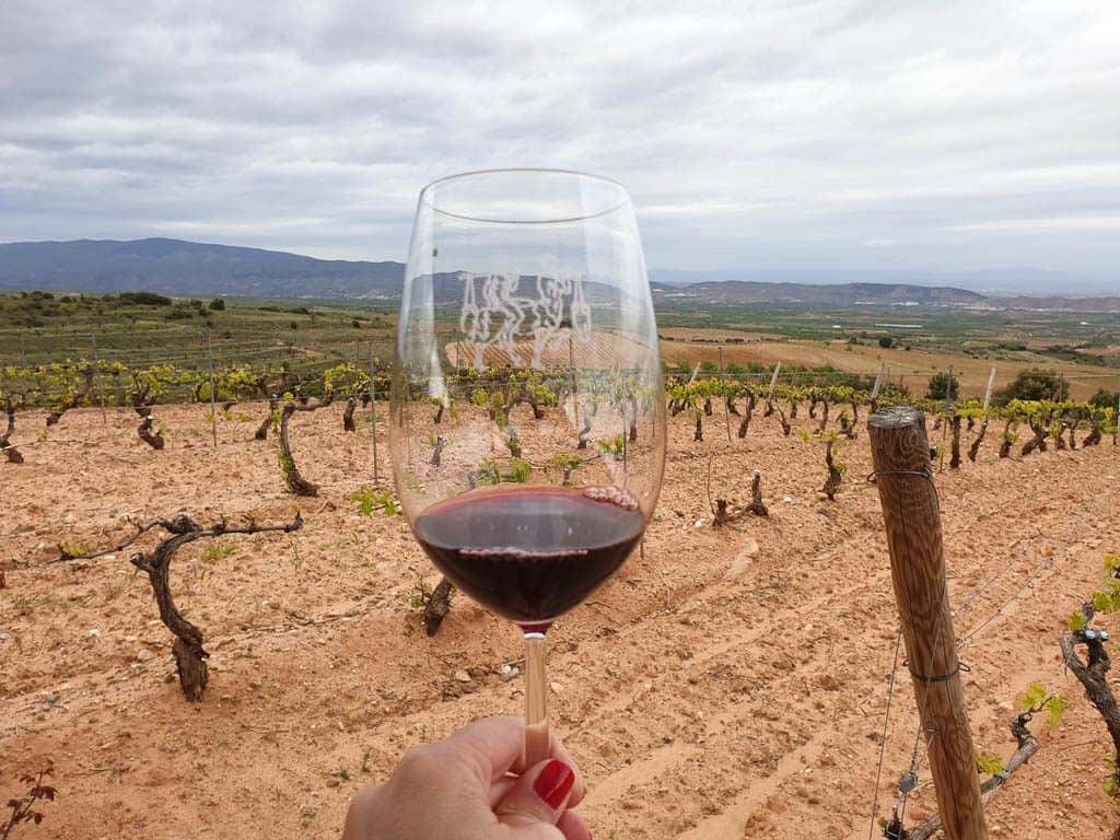 Rioja Wineries Guide - How To Tour The Best Bodegas In Rioja Spain